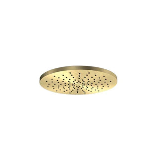 Parisi Envy II Round Shower Head - Brushed Brass — Tile House